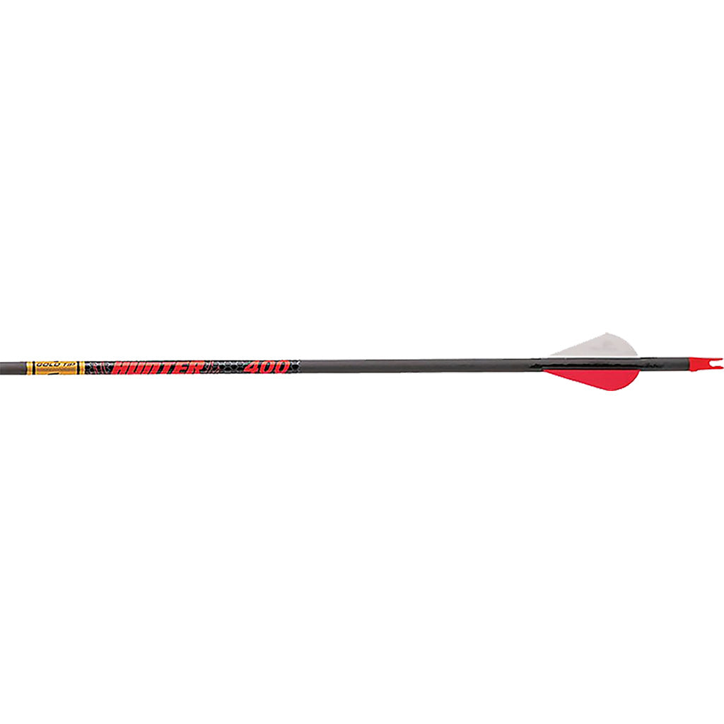 GOLD TIP HUNTER ARROWS 300 RAPTOR VANE 6 PK.| XSpot Archery